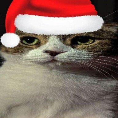 profi274562 | FunTime — Сообщество пользователей