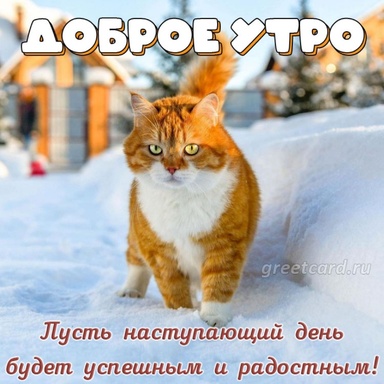 Zetrixe1 | FunTime — Сообщество пользователей